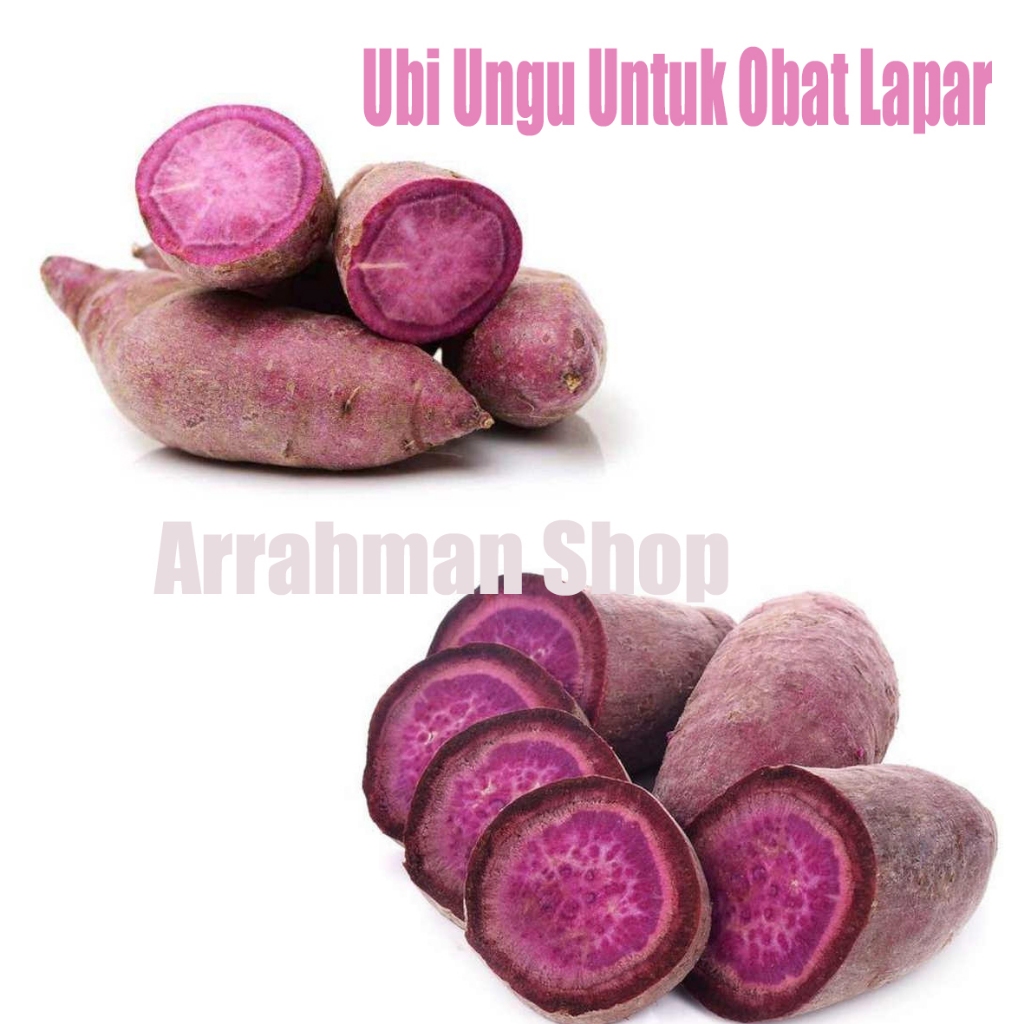 Jual Ubi Ungu 1 Kg - Ubi Umbian Fresh | Shopee Indonesia