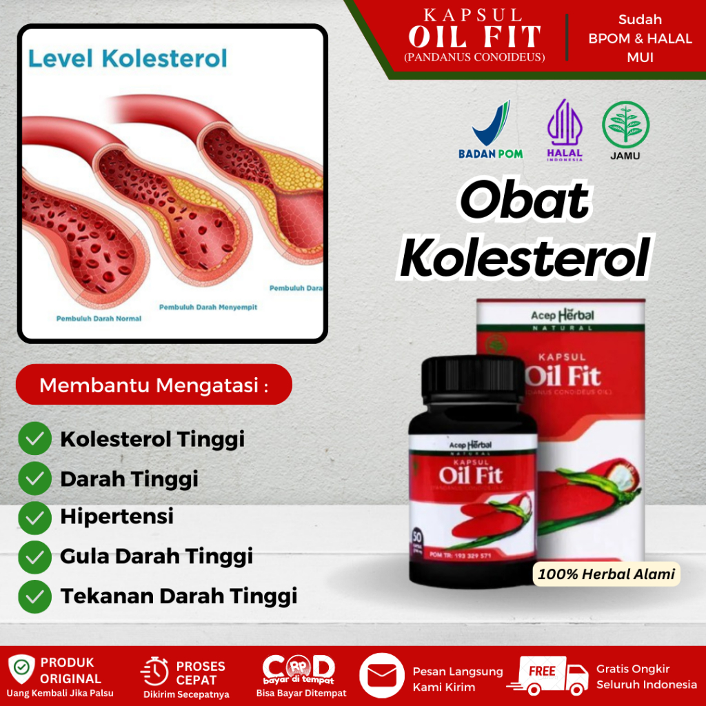 Jual Obat Kolesterol Tinggi, Trigliserida Tinggi, Darah Tinggi ...
