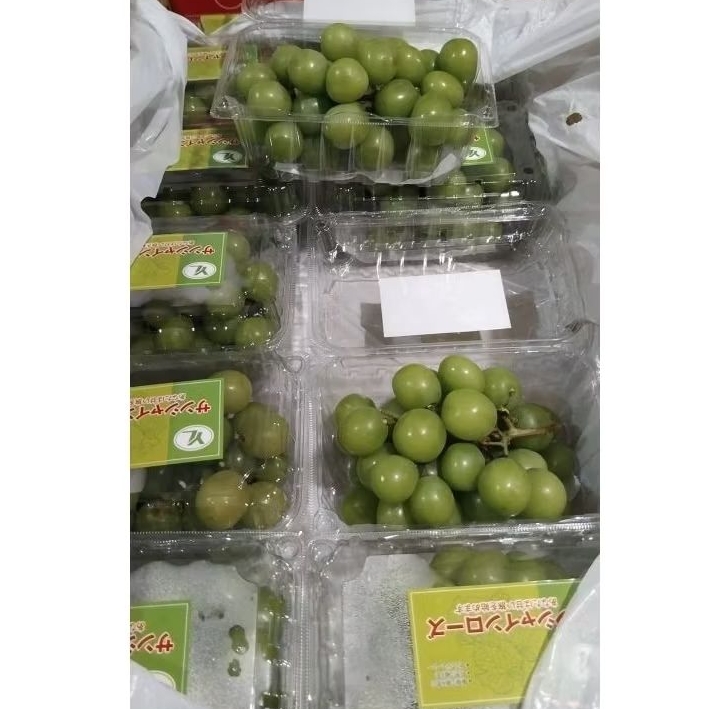 Jual Indukbuah Buah Anggur Hijau Shine Muscat Pack Seedless Manis 1 Dus ...