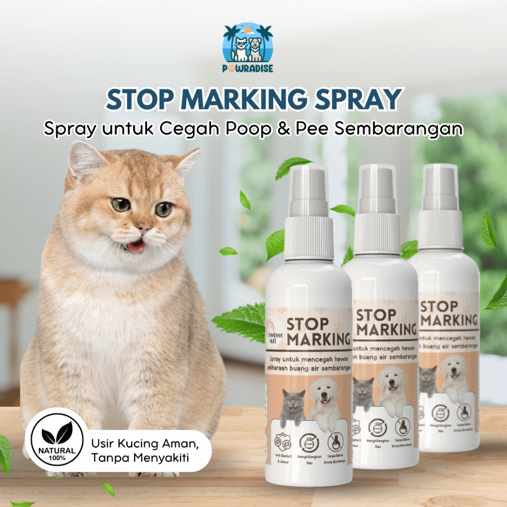 Jual Dog Repellent Bad Behaviour Spray Stop Marking - Repellent for Dog ...