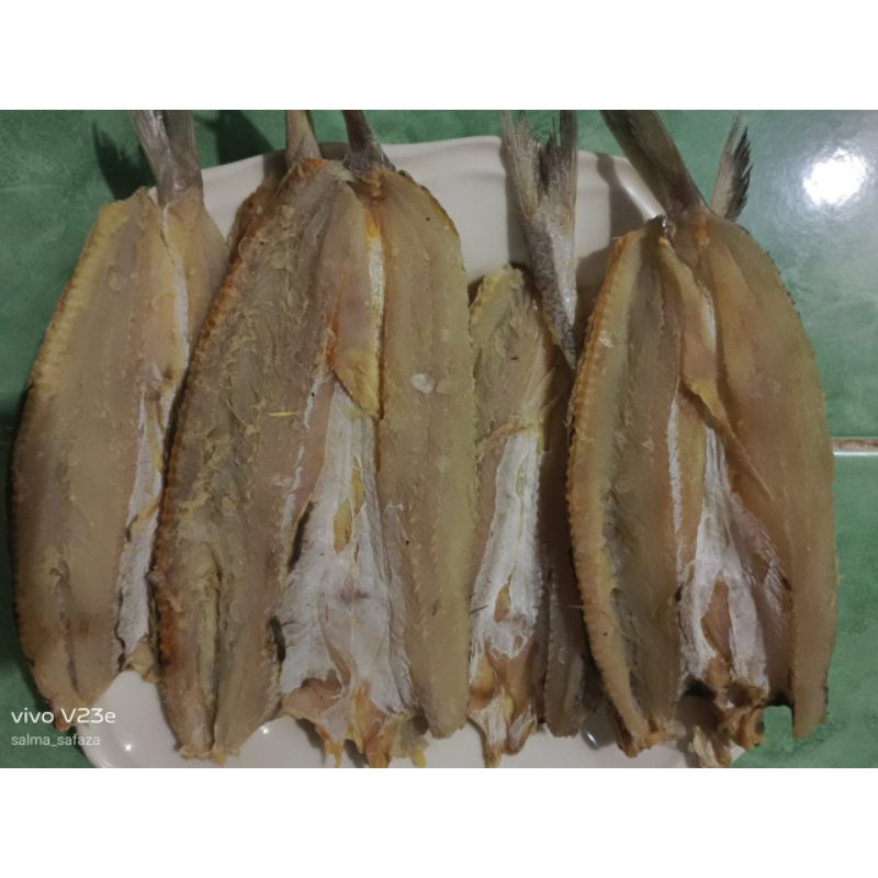 Jual Ikan Asin Gabus Laut/Ikan Asin Bloso/Ikan Asin Jenggalak Super 1 ...