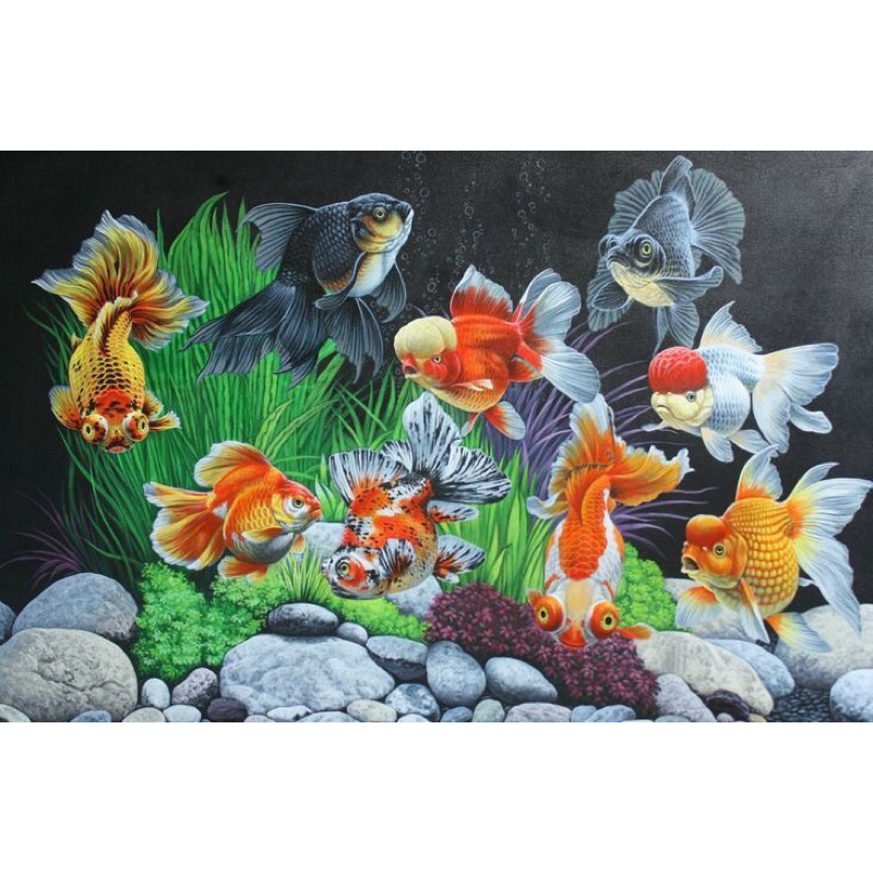 Jual hiasan dinding lukisan cetak gambar ikan hias plus bingkai uk 65x45cm | Shopee Indonesia