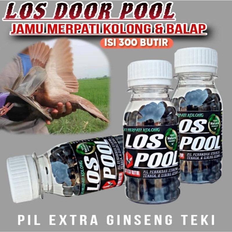 Jual PROMO!!! LOS DOOR POOL ISI 300 PIL jamu merpati kolong Dan Balap ...