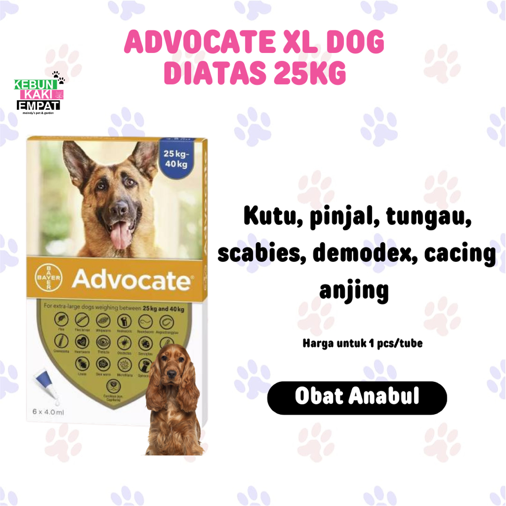 Jual Advocate XL Dog diatas 25kg obat kutu pinjal tungau scabies ...