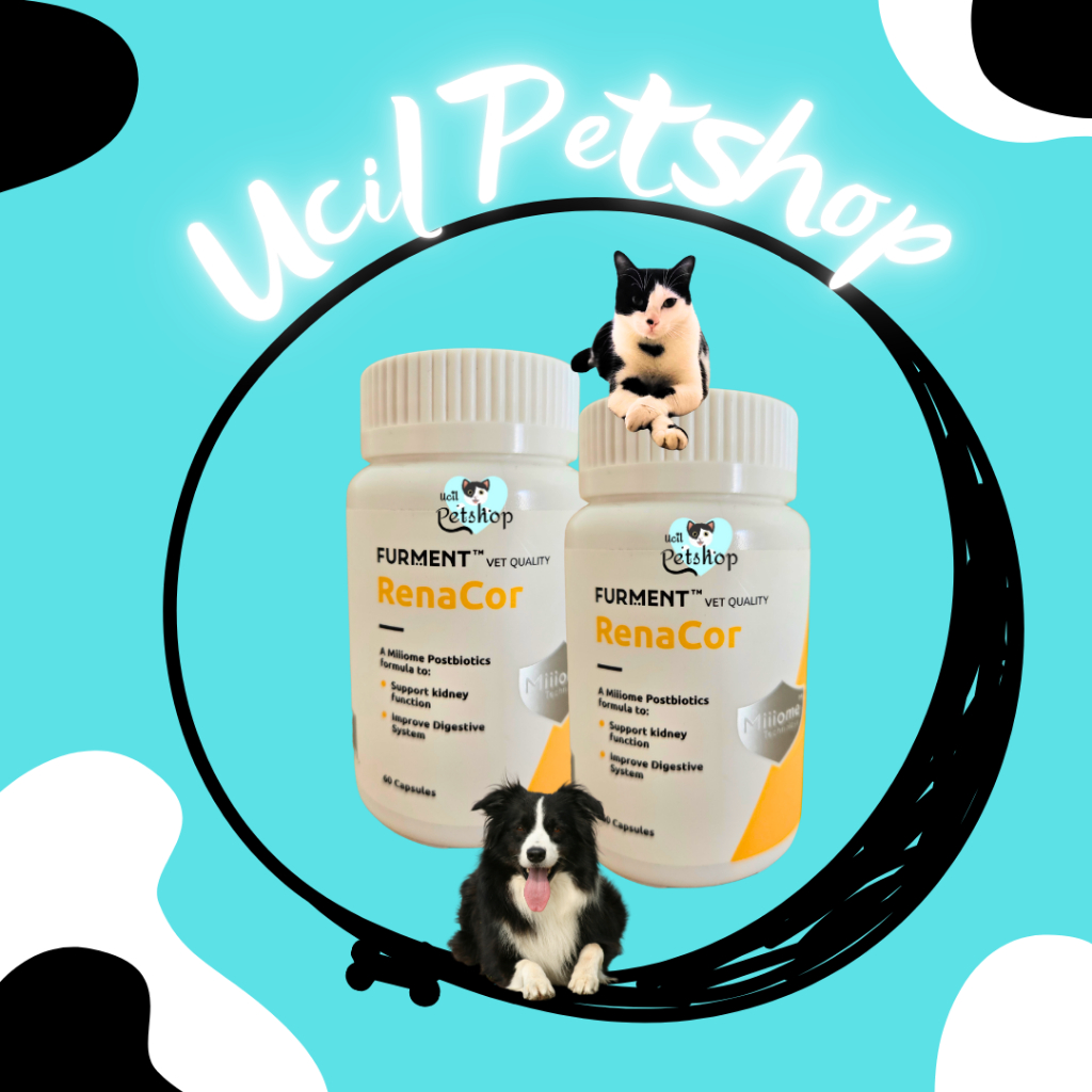 Jual Renacor (Azodyl / Rotibac) Suplement Ginjal Kidney (Share 10 ...