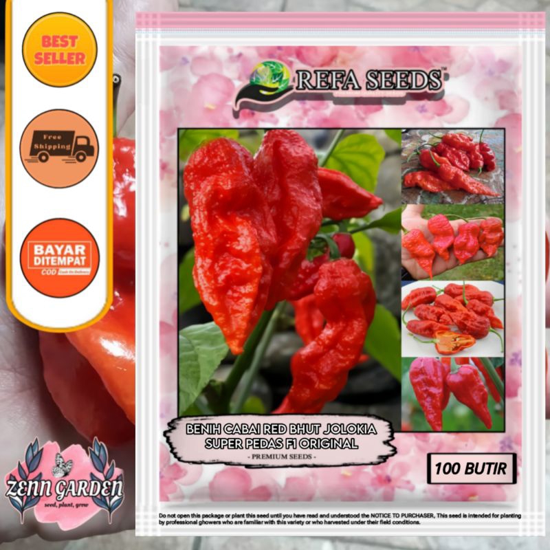 Jual Isi (100 Butir) Benih Cabai Bhut Jolokia Ghost Pepper Premium Original 100% / Biji Cabai ...