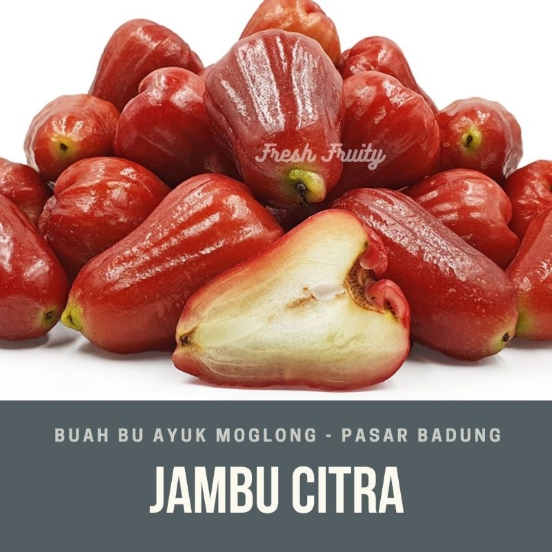 Jual jambu merah citra | Shopee Indonesia