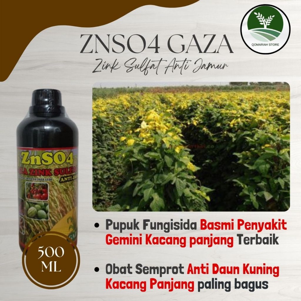 Jual Obat Kuning Daun Kacang Panjang Terbaik ZNSO GAZA 500ml Pupuk ...