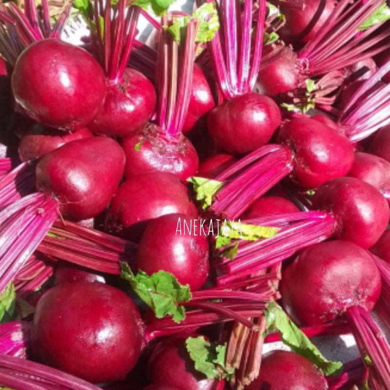 Jual Buah Bit Terlengkap & Harga Terbaru April 2026 | Shopee Indonesia