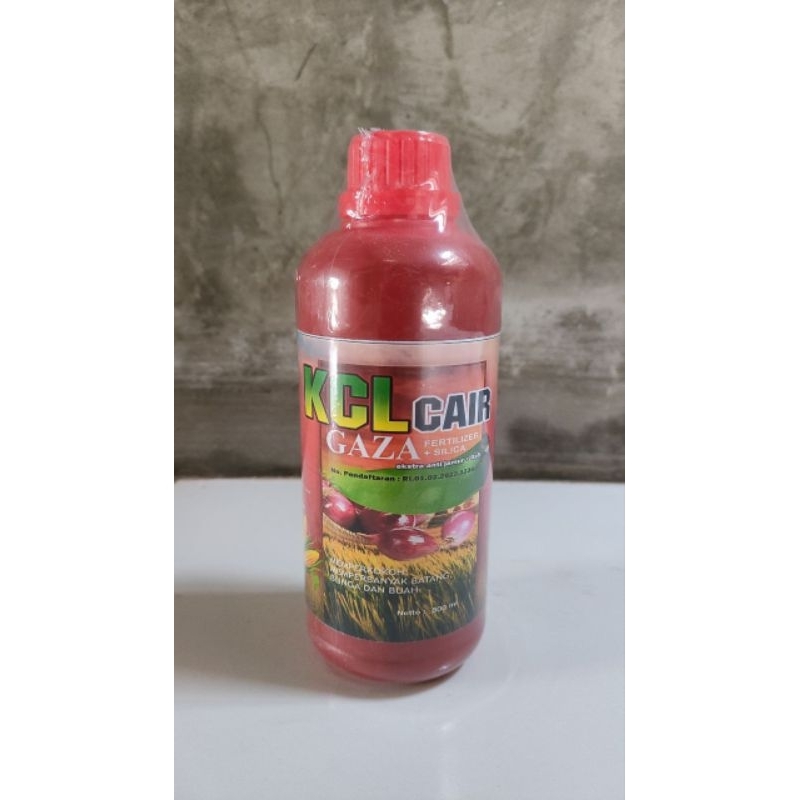 Jual Paket 1 Dus isi 20 Botol KCL GAZA | Shopee Indonesia