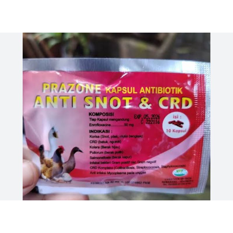 Jual Prazone Obat Anti Snot CRD Ayam Itik Entok Bebek Burung | Shopee ...