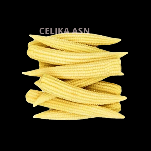 Jual Jagung Muda 250 gr Putren Baby Corn Acar Capcai Masakan Fresh ...