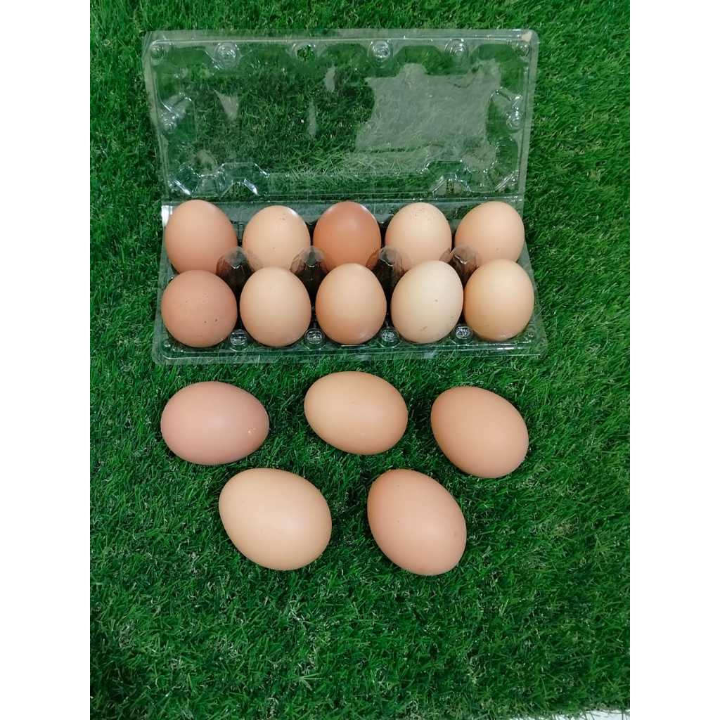Jual RB CITRA FRESH - Telur Omega 10 Butir - Selalu Ready dan Fresh ...