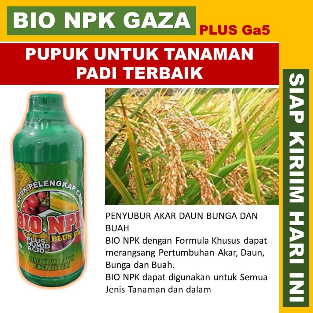 Jual NPK GAZA 500 ml PUPUK UNTUK PADI Obat Cair Semprot untuk Padi Sawah - Pupuk Organik ...