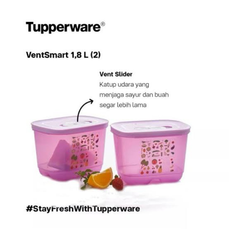 Jual VentSmart 1.8L Tupperware | Shopee Indonesia