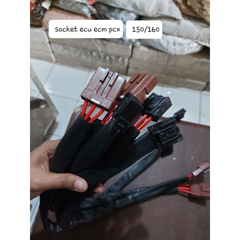 Jual SOCKET ECU ECM PCX 150/160 ISI 1PC | Shopee Indonesia