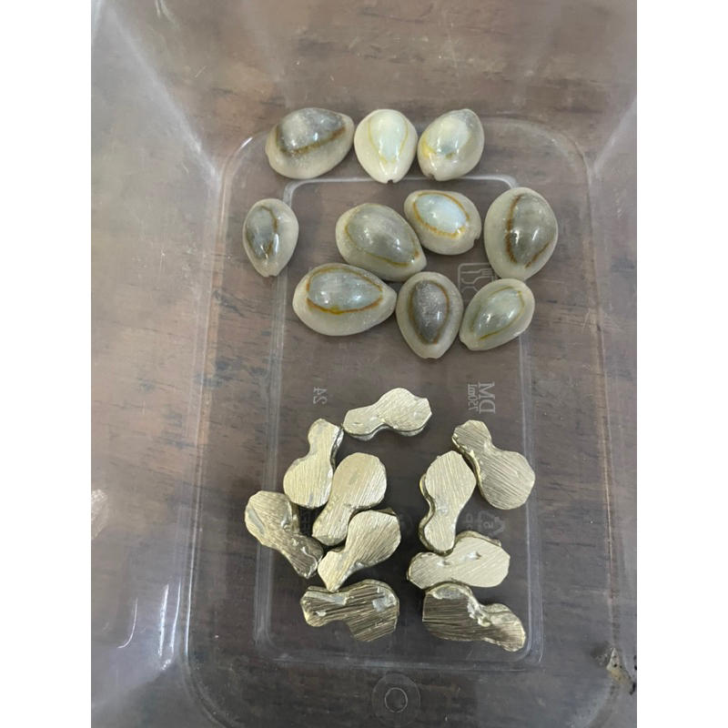 Jual Biji bekel emas atau kerang untuk permainan bekel | Shopee Indonesia