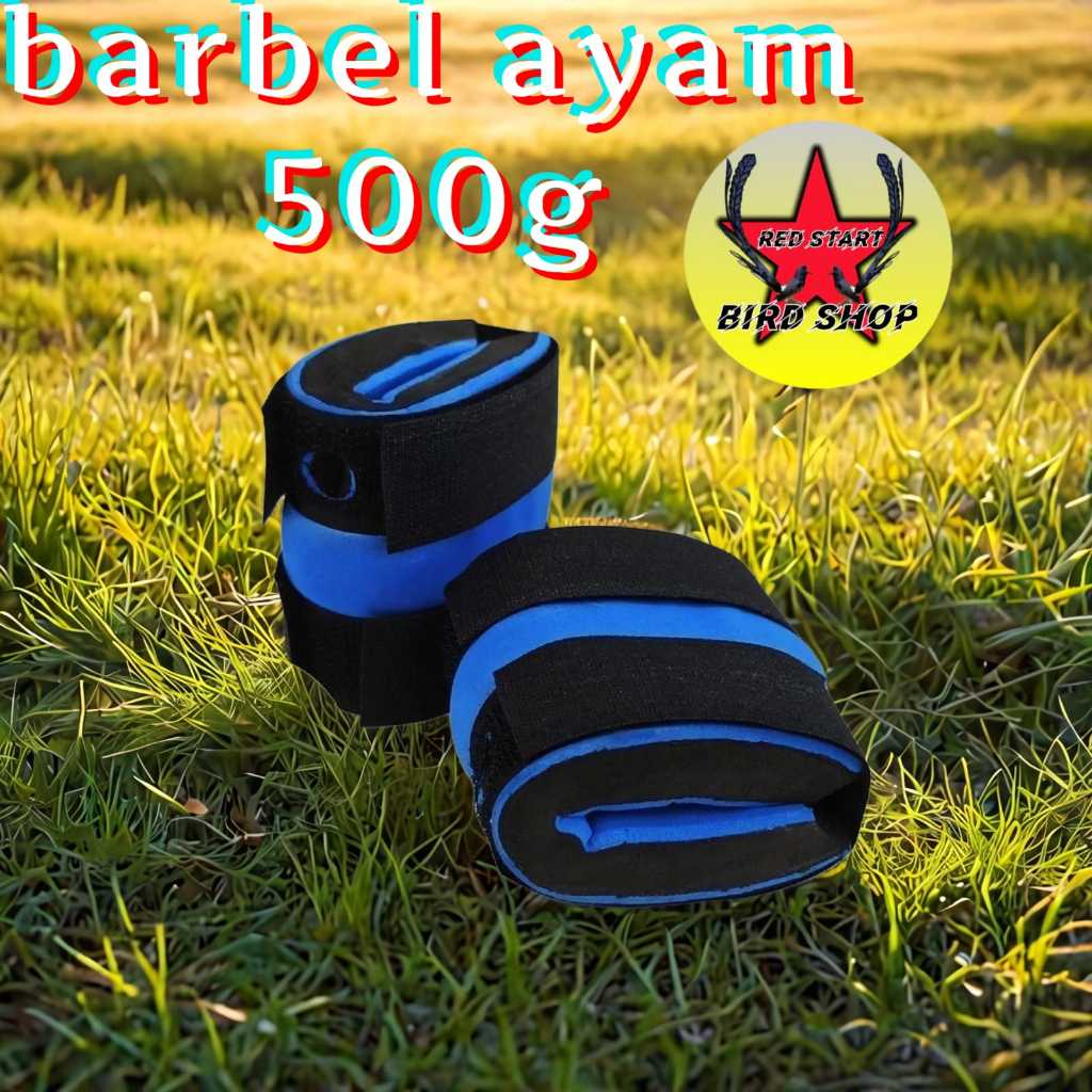 Jual BARBEL AYAM JAGO PAKET BEGEL AYAM 100,200 , 300,400 & 500 GR ...