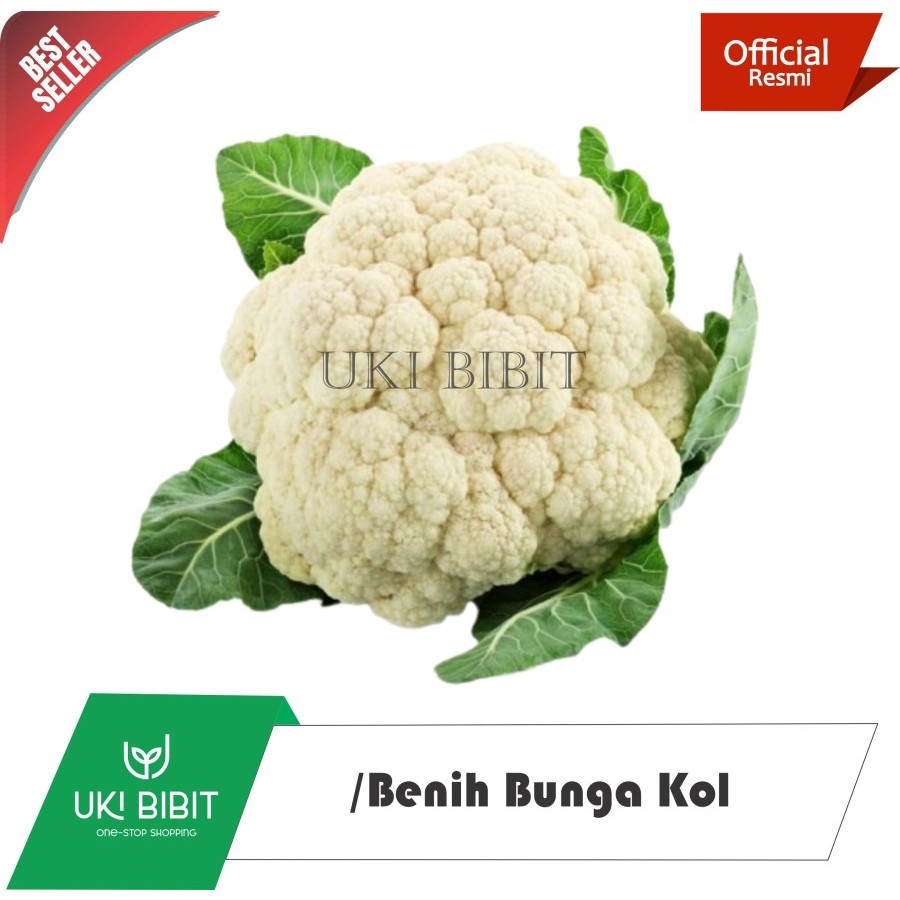 Jual ( 300 Butir ) Benih Bunga Kol | Kembang Kol | Shopee Indonesia