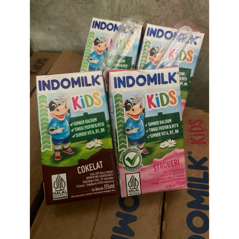 Jual Susu UHT Indomilk kids 1 dus coklat, strawberry isi 40 x 115ml | Shopee Indonesia
