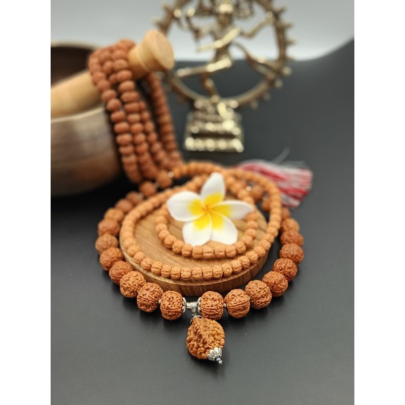Jual Kalung Genitri Rudraksha Liontin Mukhi 2 Jumbo | Shopee Indonesia