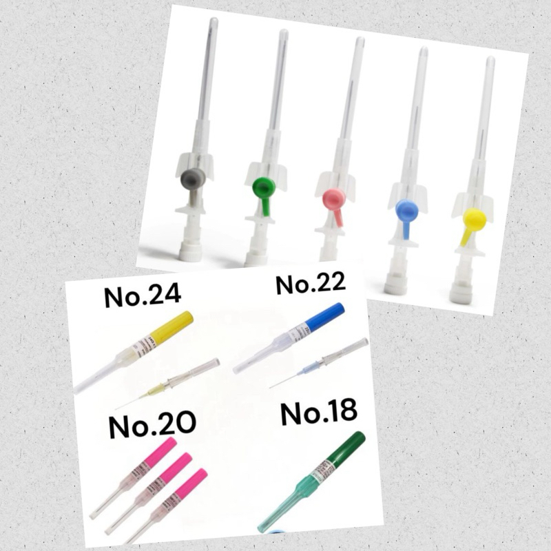 Jual Jarum Infus Inflo IV Catheter Plus Abbocath Abocath 20G 22G 24G ...