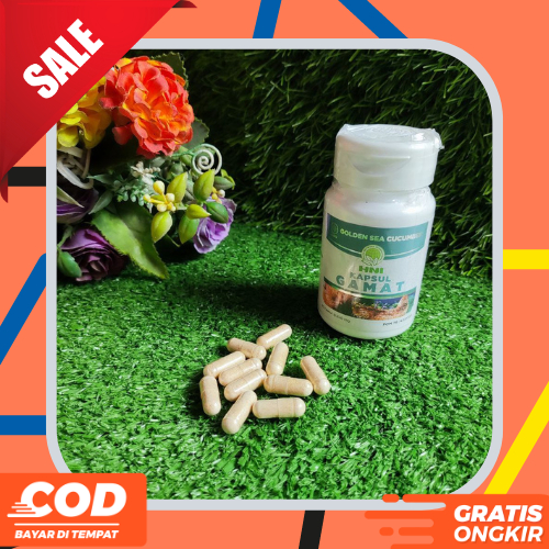 Jual Gamat Kapsul HNI HPAI Ecer: Herbal Ampuh Mengurangi Nyeri Sendi ...