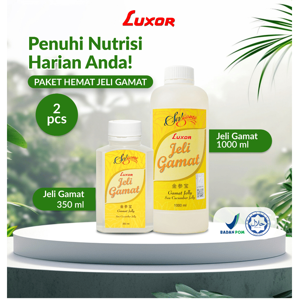 Jual Paket Jelly Gamat Luxor 1000ml + 350ml Original Ekstrak Teripang ...