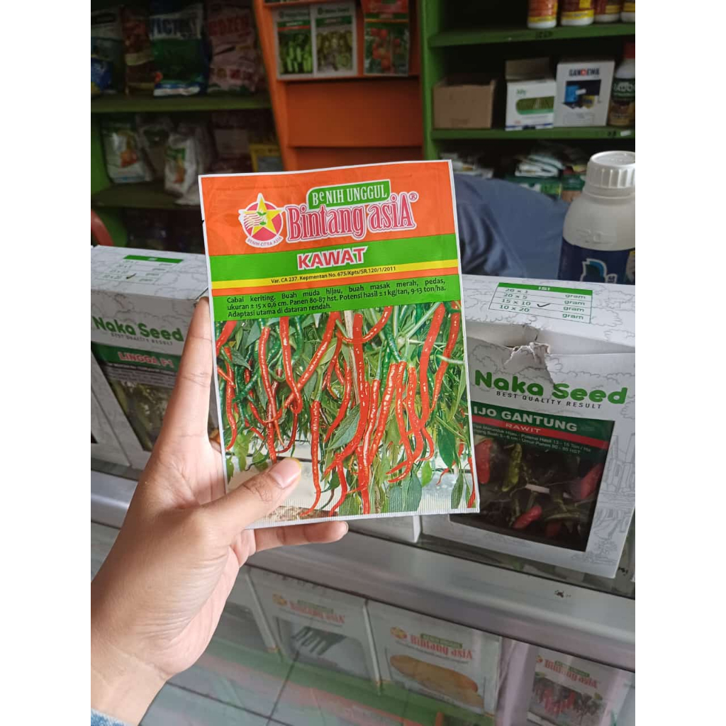 Jual benih bibit cabai keriting kawat f1 bintang asia 10 gram | Shopee ...