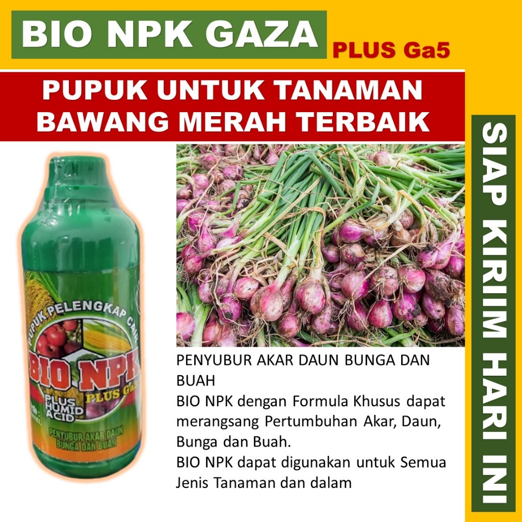Jual Pelebat bawang merahTerbaik Pupuk NPK GAZA 500 ML(PELEBAT bawang merah) NPK GAZA Obat ...