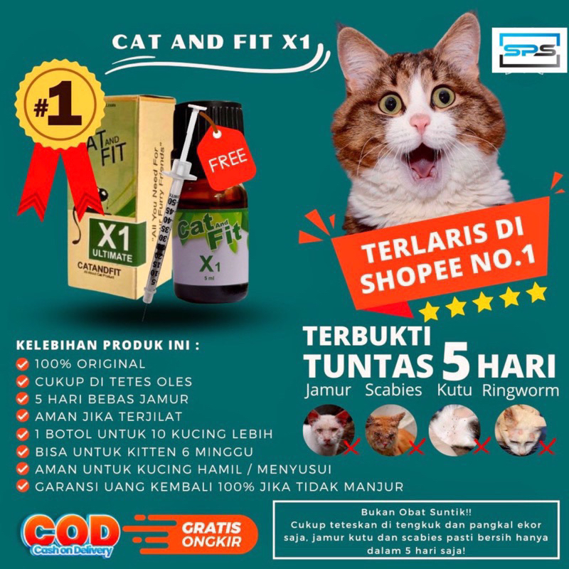 Jual obat jamur kutu kucing dan scabies kucing cat and fit x1 ultimate ...