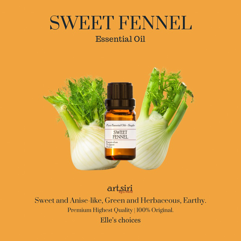 Jual SWEET FENNEL Essential Oil | Shopee Indonesia