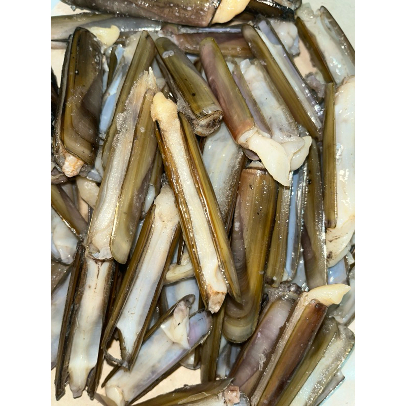 Jual kerang bambu frozen | kerang bambu termurah | Seafood | 1kg ...