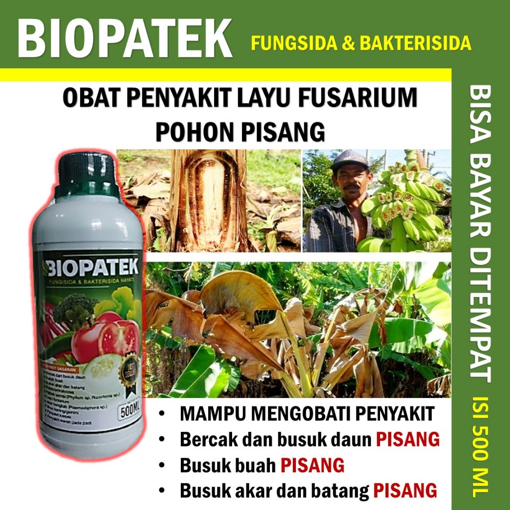 Jual TERLARIS BIOPATEK 500 ML Obat Hama Daun Kuning daun pisang - Pupuk Kalsium Atasi Virus ...
