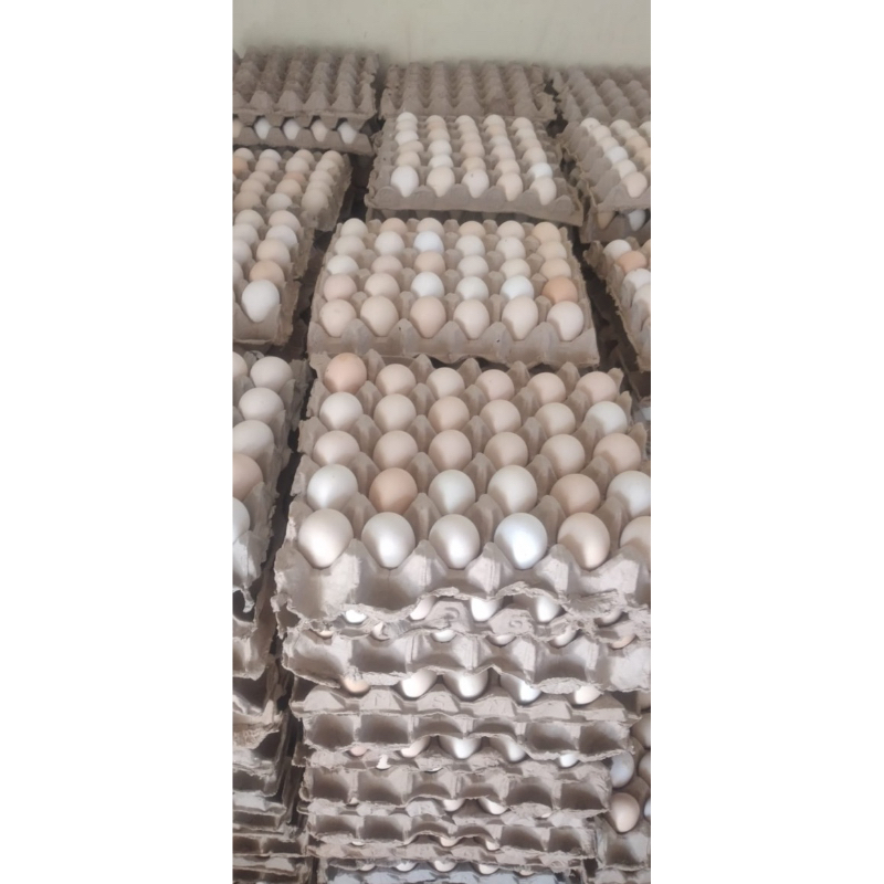 Jual Telur Ayam Kampung (1 Tray = 30 Butir ) | Shopee Indonesia