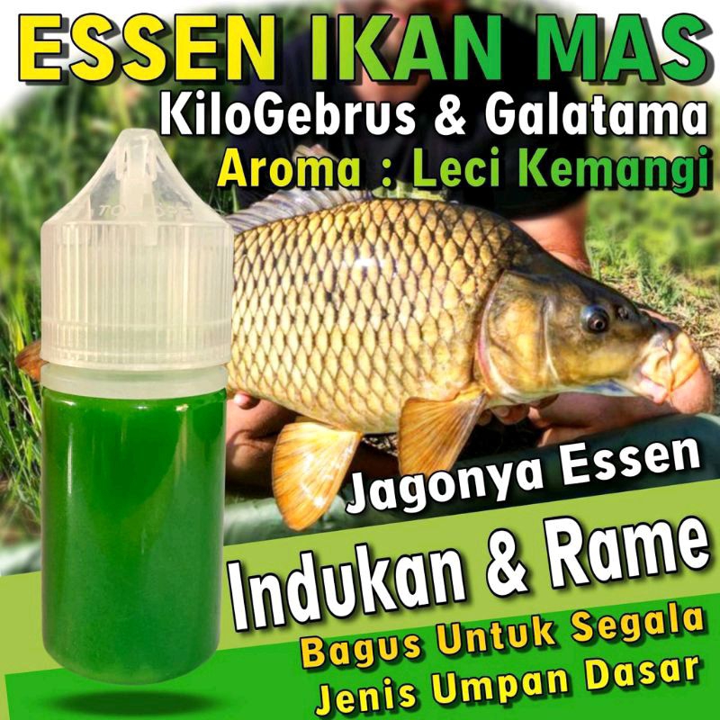 Jual Essen Super Ikan Mas Aroma AMIS WANGI Leci Kemangi Paling Bagus ...