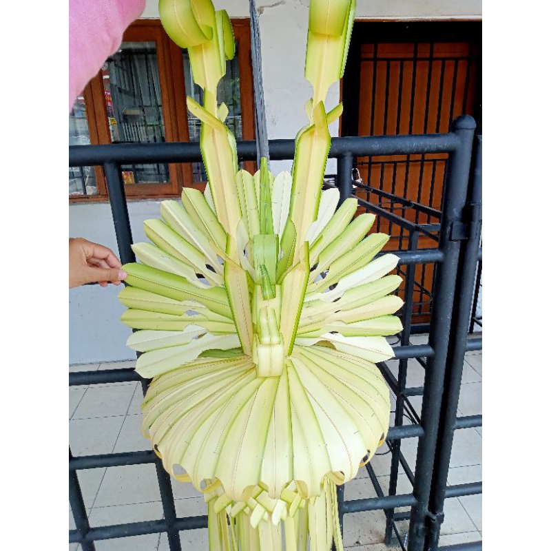 Jual Janur kuning asli segar CIMAHI BDG PDLRG | Shopee Indonesia