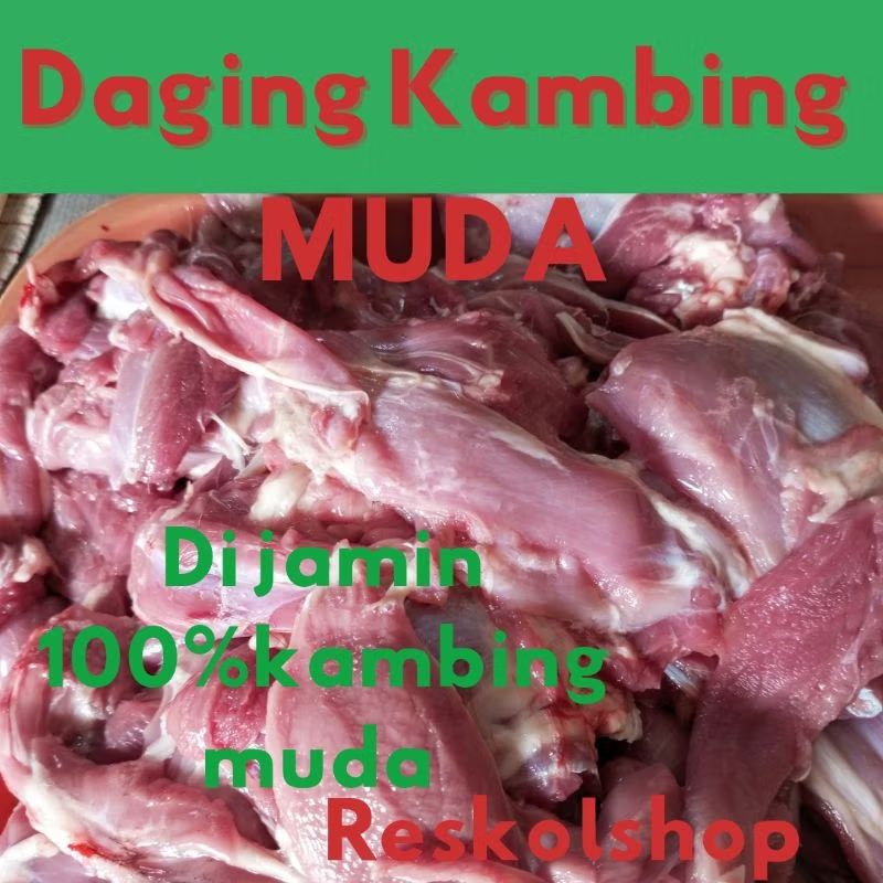 Jual Daging kambing muda 500gr | Shopee Indonesia