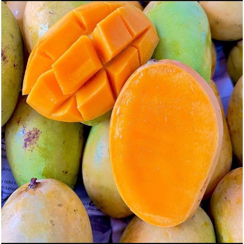 Jual Mangga Podang Masak Pohon Berat 1 Kg | Shopee Indonesia