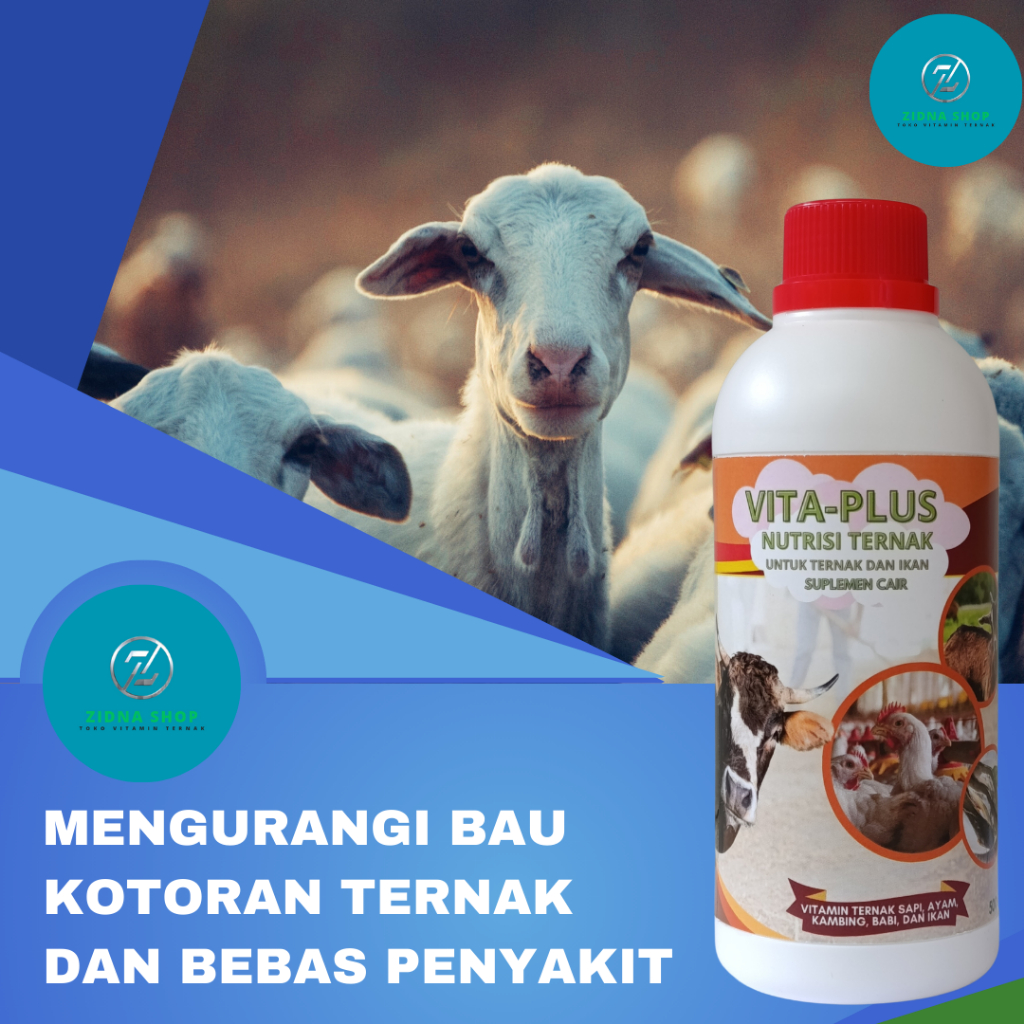 Jual obat vitamin penggemuk hewan ternak kambing | Vitamin Kambing ...