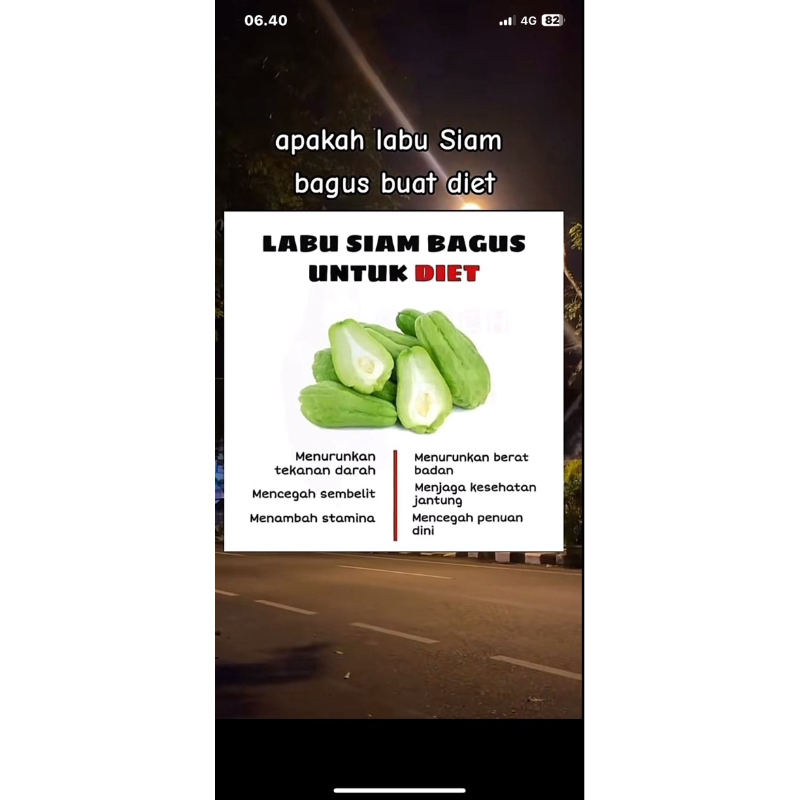 Jual KEBUN.MUKLIS - Bibit Labu Siam Anggur Pilihan Bertunas Siap Tanam ...