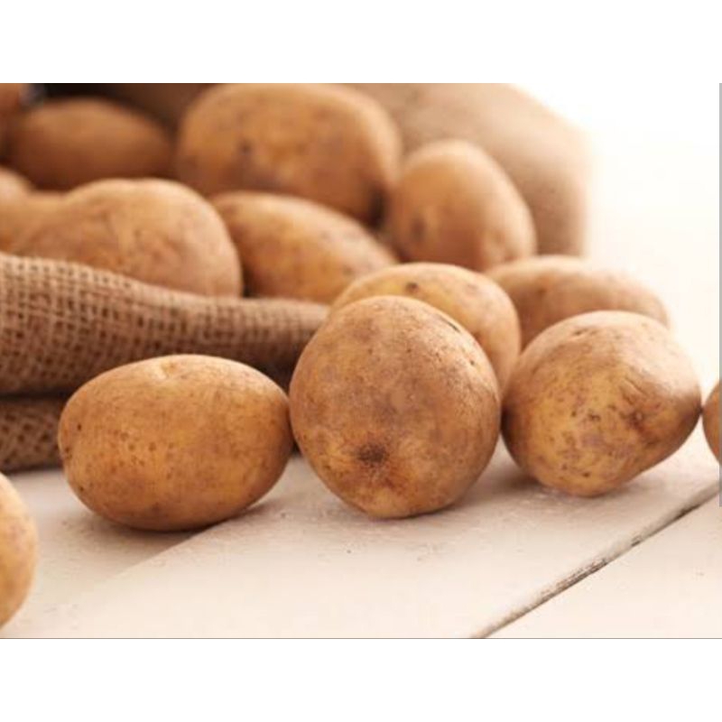 Jual KENTANG DIENG FRESH (READY) | Shopee Indonesia