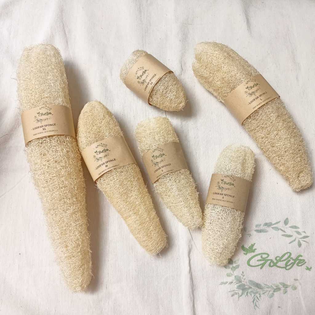 Jual Loofah Sponge Mandi XS / Spons Loofah Spon Cuci Piring Alami ...