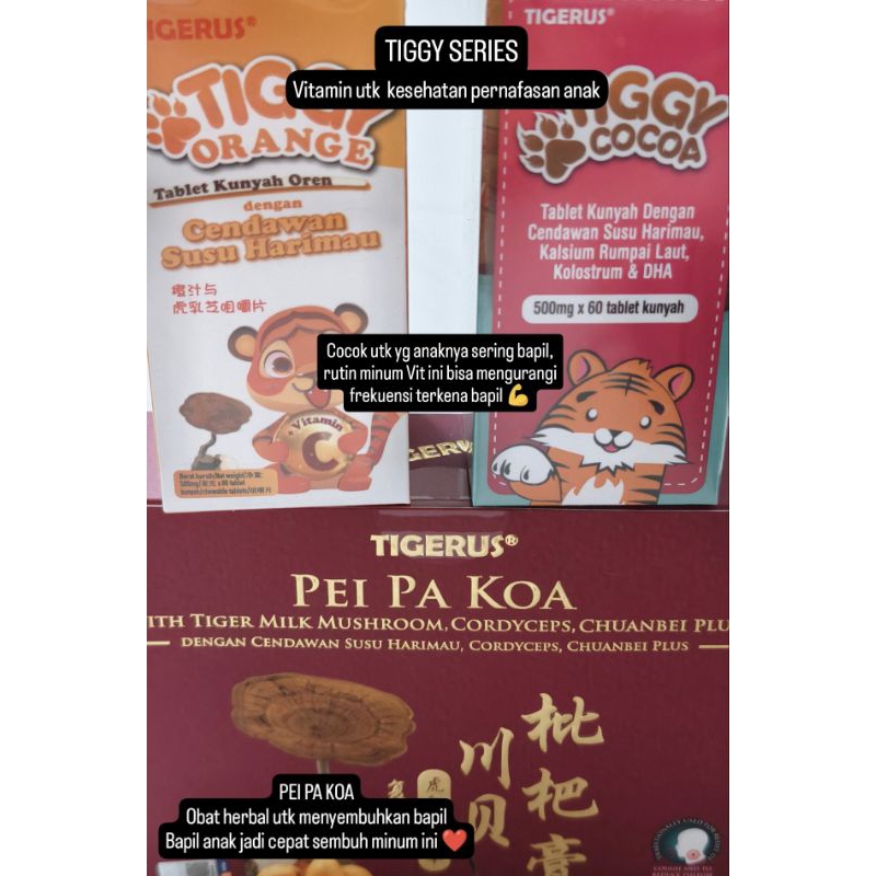 Jual TIGERUS TIGGY SERIES TIGER MILK MUSHROOM SCLEROTIA HOLLA PEI PA ...