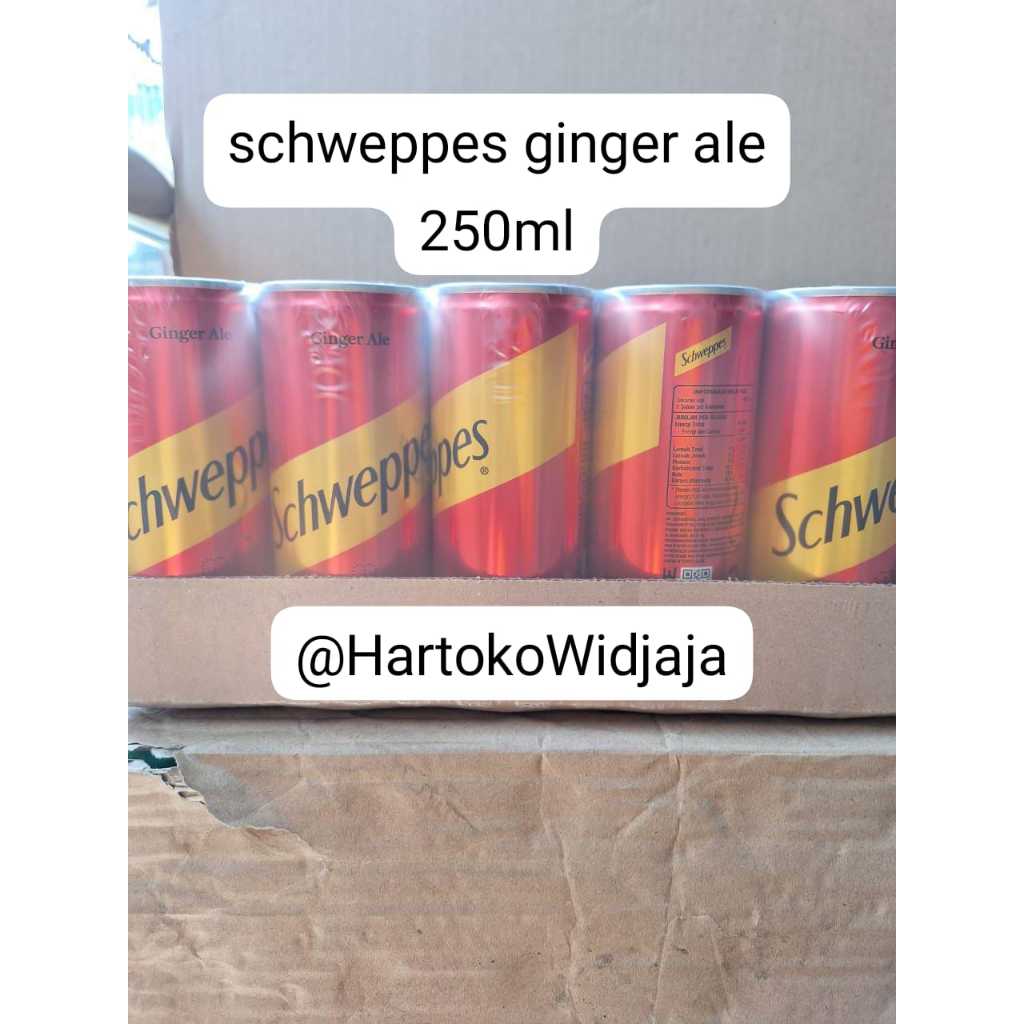Jual SCHWEPPES GINGER ALE JAHE 250ML 1 DUS ISI 24 KALENG | Shopee Indonesia