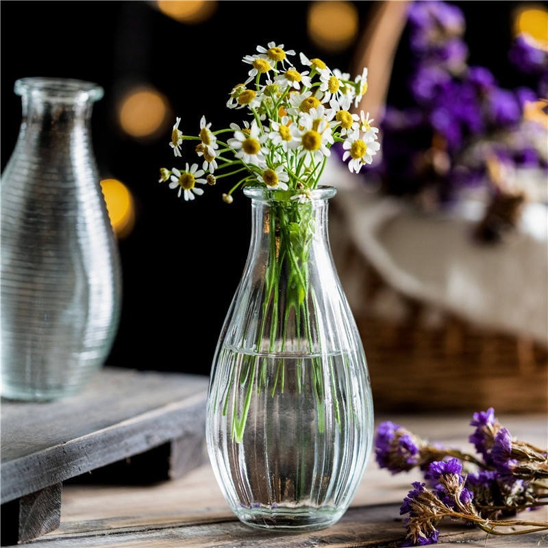 Jual Vas Bunga Botol Kaca Estetik Multifungsi Vertical Flower Vase ...