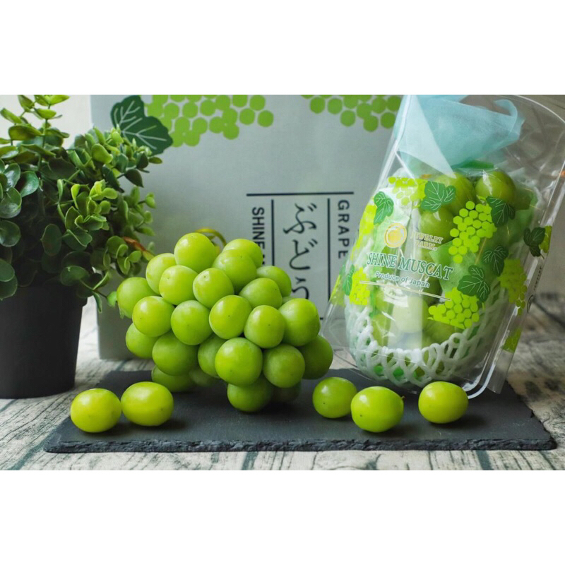 Jual Anggur Hijau Shine Muscat Jepang / Japanese Per Pack Fresh Import ...