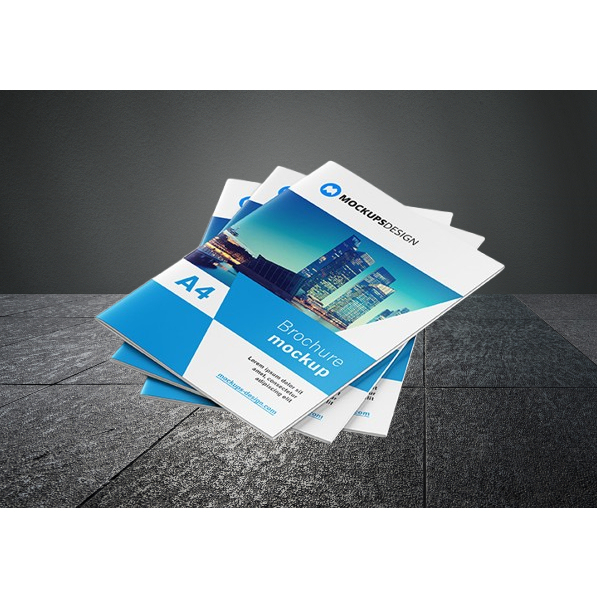 Jual MAP FOLDER INSTANSI, SEKOLAH, REKAM MEDIS, PPDB 230 gsm | Shopee ...