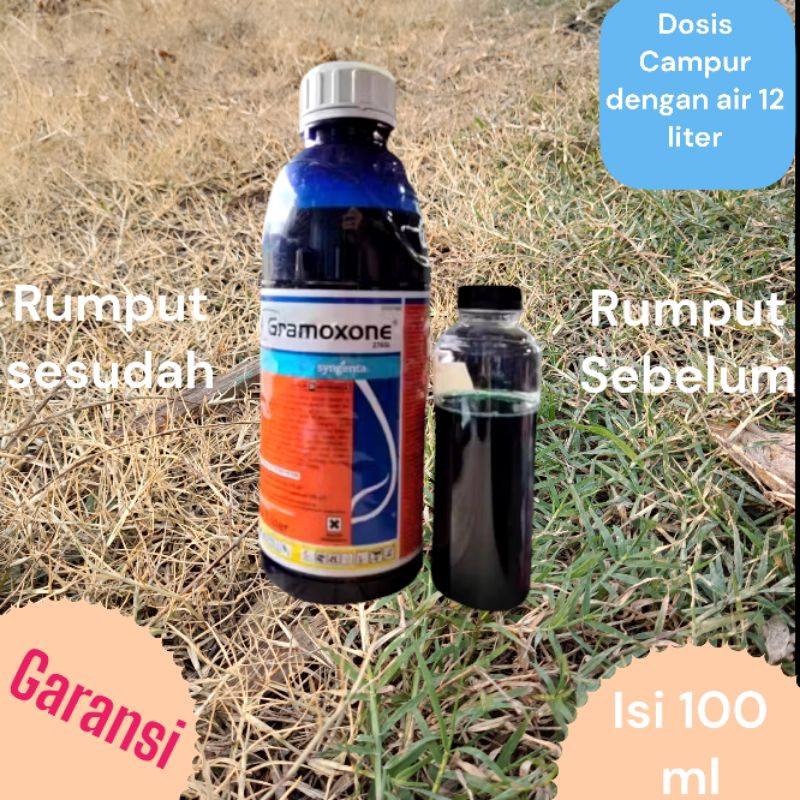Jual COD Gramoxone 100ml 276 SL Herbisida Pembasmi Racun Rumput Gulma ...