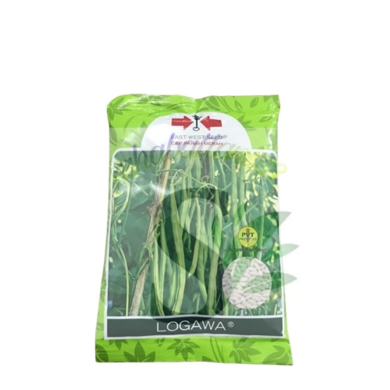Jual Benih Buncis LOGAWA isi 500gram (Cap Panah Merah) | Shopee Indonesia